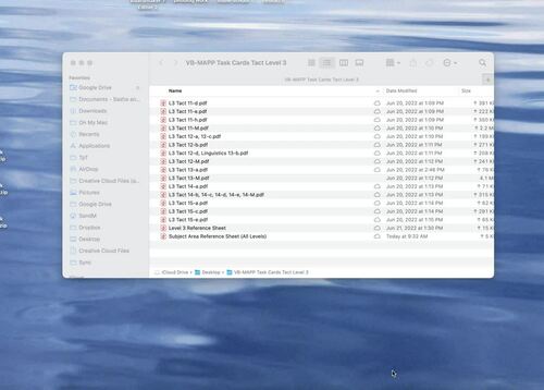 VB-MAPP Task Cards: Tact Level 3 by The Autism Helper | TPT