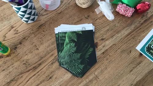 Classroom Decor BUNDLE in Calm Nature Botanicals for FERN Theme | TPT