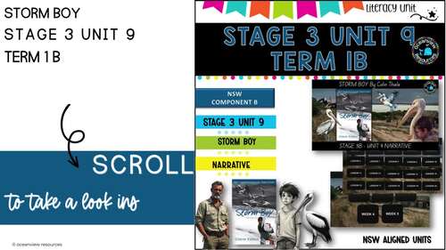 STORM BOY NSW DET Stage 3 Unit 9 Term 1B Year B Component B Narrative