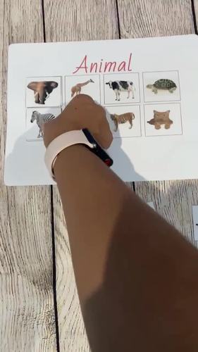 Animal matching interactive activity, Special need therapy montessori ...