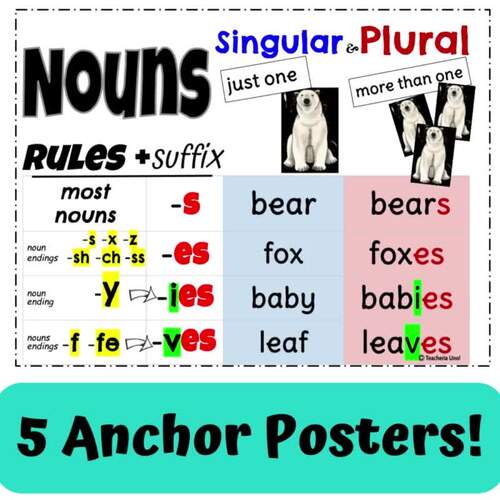 Regular Irregular PLURAL Noun ANCHOR Chart Posters Digital Printable ...