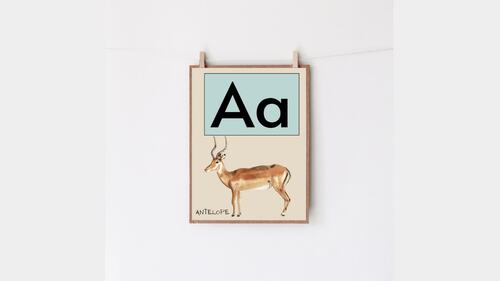 Farm Themed Alphabet Cards|Mini Posters by This Marvelous Life | TPT