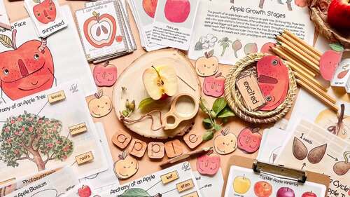 Apple Unit Study: Anatomy, Lifecycle, Facts | Poster, Flashcards, Play ...