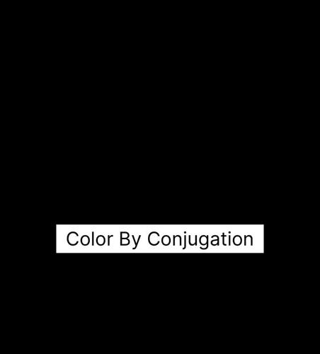 Cinco de Mayo Color By Conjugation AR Verbs by SinginSeñorita | TPT