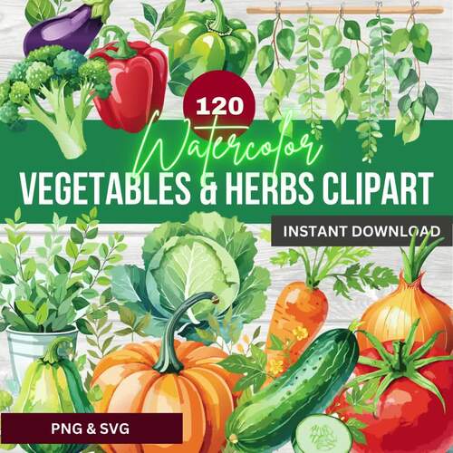 Watercolor Vegetables & Herbs Clip Art Bundle SVG & PNG files | TPT