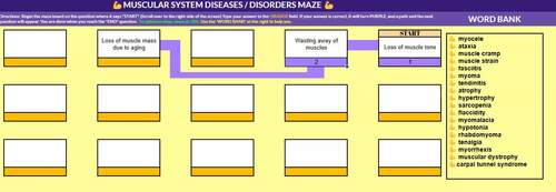 Muscular System Diseases Digital and Print Maze Activity | TPT