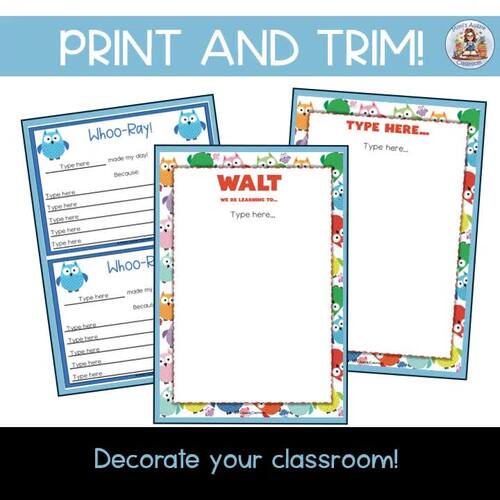 Colourful Owls Classroom Décor-Useful Editable Teacher Resources