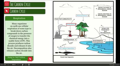 Carbon Cycle Interactive Diagram by Science With Mrs Lau | TPT