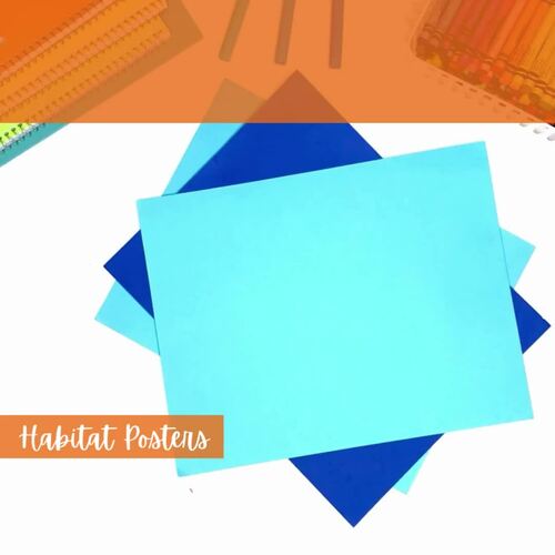 Desert Habitat, Desert Plants & Animals, Desert Activities for ...