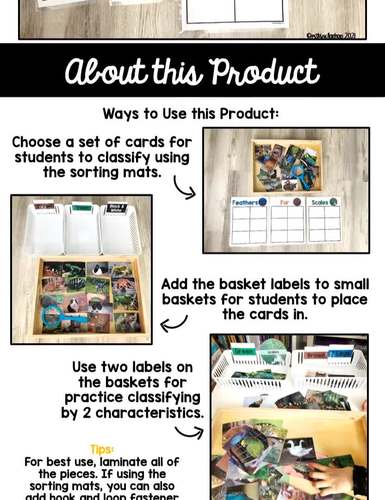 Sort and Classify Pets Preschool Pet Theme Science Center by MsKinderhop