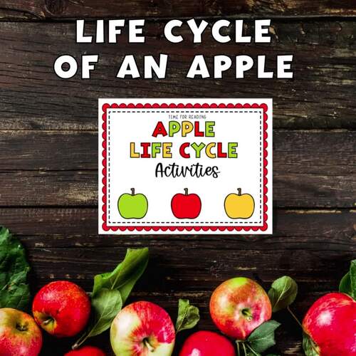 Life Cycle of an Apple Activities | Sequencing Coloring Cut and Glue ...