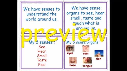touch sense organs examples