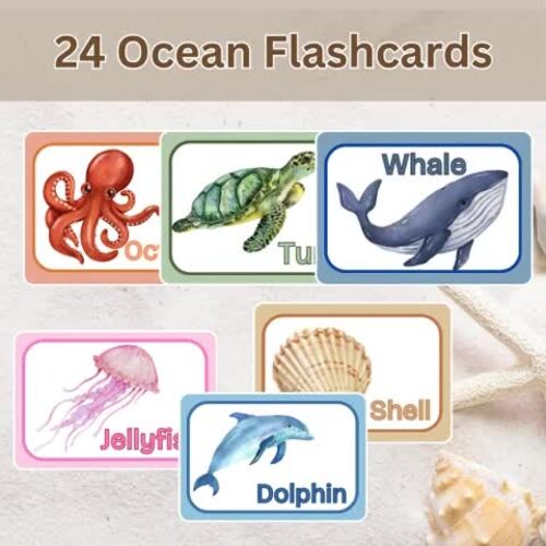 Ocean Themed Flashcards | Educational Cards | Sea Life Learning
