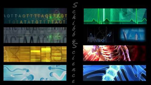 Biology Animated Google Banner Bundle by Schibby Science | TPT