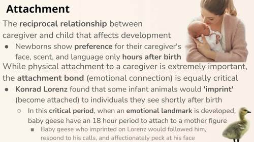 AP Psychology - Lecture Notes - Social and Moral Development (Unit 6.2 ...