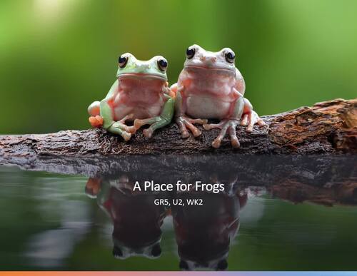 MyView 5th Grade, Unit 2, Week 2 "A Place for Frogs" Vocabulary ...