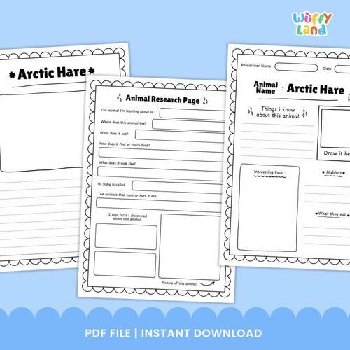 Arctic Hare Animal Research Project - Winter & Arctic Animals Science ...