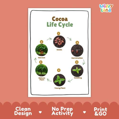 Cocoa Life Cycle Activity Cut and Paste Worksheet Science Chocolate ...