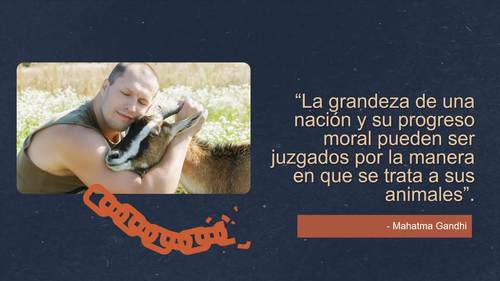 Los Derechos de los Animales (Práctica integral). by Learn Spanish with ...