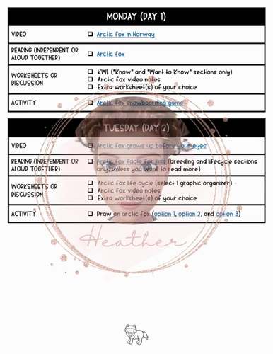 Arctic Fox Unit Study | Lesson Plan and NO PREP Activities | Arctic Animals