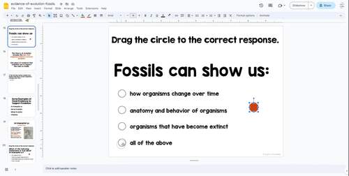 Evidence of Evolution - Fossils Interactive Lesson | TPT
