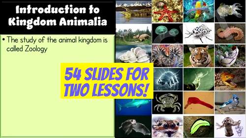 Introduction to Zoology PowerPoint Slideshow (2 LESSONS) + FREE Guided ...