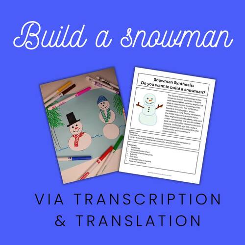 Snowman Synthesis Central Dogma Transcription Translation Holiday ...