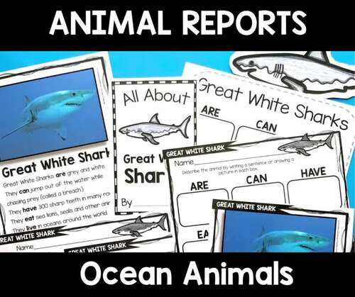 Ocean Animals Research Reports Sharks Crab Sting Ray Starfish Sea ...