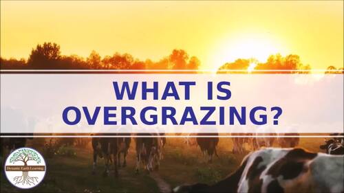 Overgrazing | Video Lesson, Handout, Worksheets | Environmental Earth ...