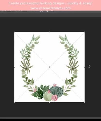 Cactus Clipart, Potted Cacti, Indoor Plants Clip Art Graphics Illustration