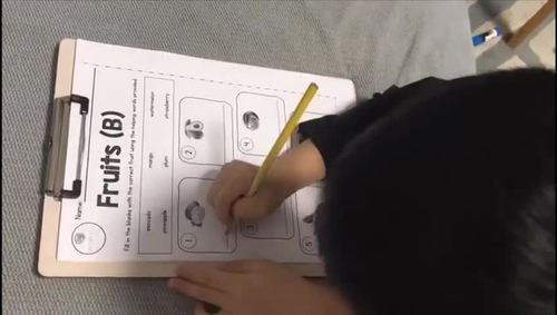 Fruits Worksheet | Special Education | Preschool Learning by BieCreatif