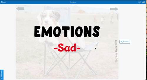 AAC Core Vocabulary LIFE SKILLS- Feelings and Emotions- Drilling: SAD