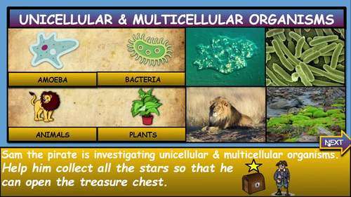 Unicellular vs Multicellular Powerpoint + Worksheets. Amoeba. Middle School