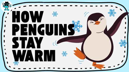 Penguins Informational Text Reading and Research Activity by Tina Brigham