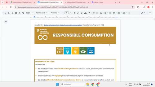 RESPONSIBLE CONSUMPTION SDG 12 Global Goals Digital Teaching Material