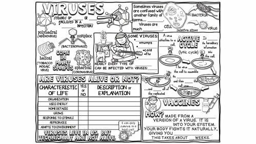 Viruses Doodle Notes, Quiz & Slides | Microbes, Pathogens, Lytic Cycle ...