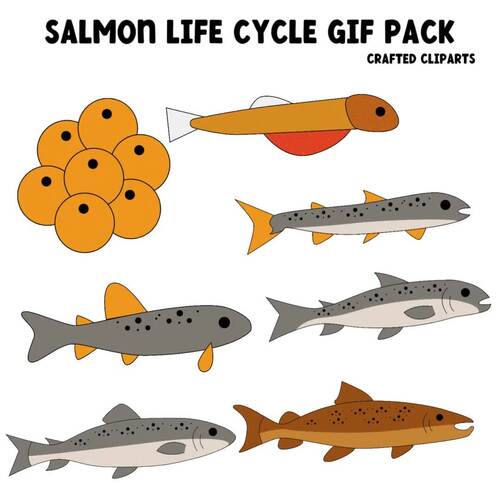 Simple Salmon Life Cycle GIF Pack by Crafted Cliparts | TPT
