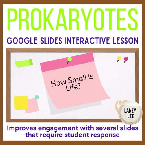 Prokaryotic Cells / Bacteria Google Slides Presentation by Laney Lee