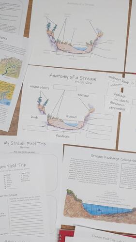Science on the River: A hands-on STEM unit! by Wild Earth Lab | TPT