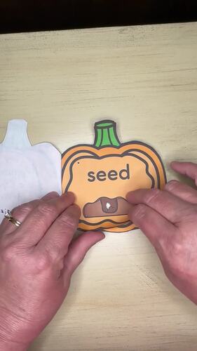 Pumpkin Shaped Life Cycle Book, Labeling, & Pumpkin Craftivity for ...