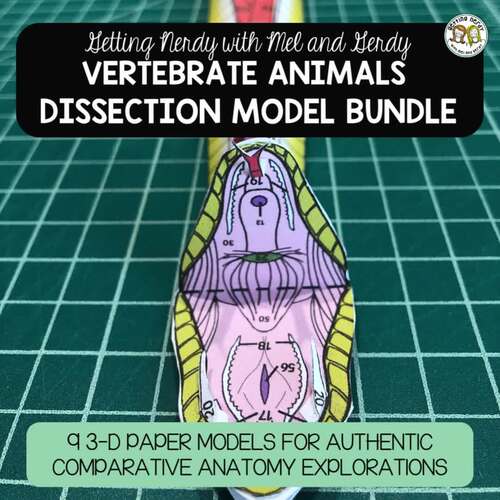 Vertebrate Animal Dissection Zoology | Biology 3-D Paper Dissection ...