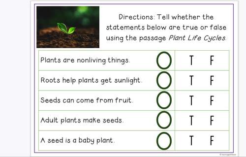 Virtual Plants Unit by Learning with Lexie | Teachers Pay Teachers