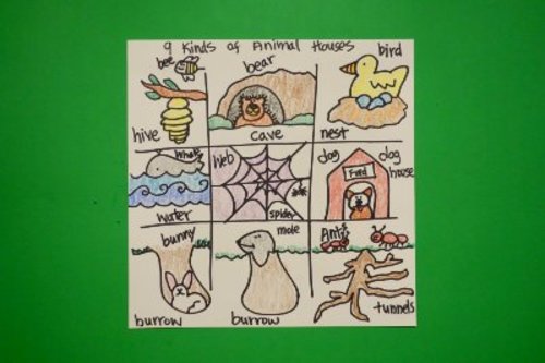 Let's Draw Animal Houses! by Patty Fernandez Artist | TpT