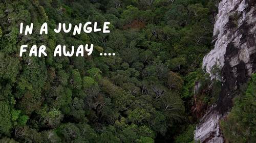 Jungle Themed Subtraction Math Game | 3-Digit Subtraction | Whodunit?