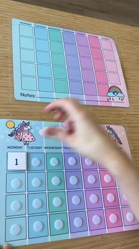 Classroom daily visual schedule editable, Visual schedule autism, Chore ...