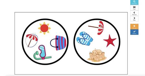 SUMMER SPOT THE MATCH BOOM CARDS :OT /SLP visual perceptual game