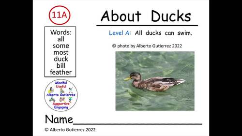 Level A Nonfiction: About Ducks #11A by ALBERTO GUTIERREZ | TPT