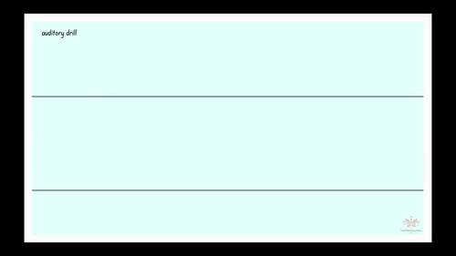 10 x Dictation Lessons: Set 2- CCVC words and sentences- NO PRINT!