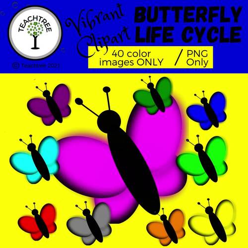 Butterfly Life Cycle CLIP ART by Teachtree | TPT