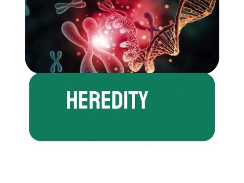 AP Biology Unit 5: Heredity Complete Unit by UPLINE ACADEMIC RESOURCES AP Biology Unit 5: Heredity Complete Unit by UPLINE ACADEMIC RESOURCES